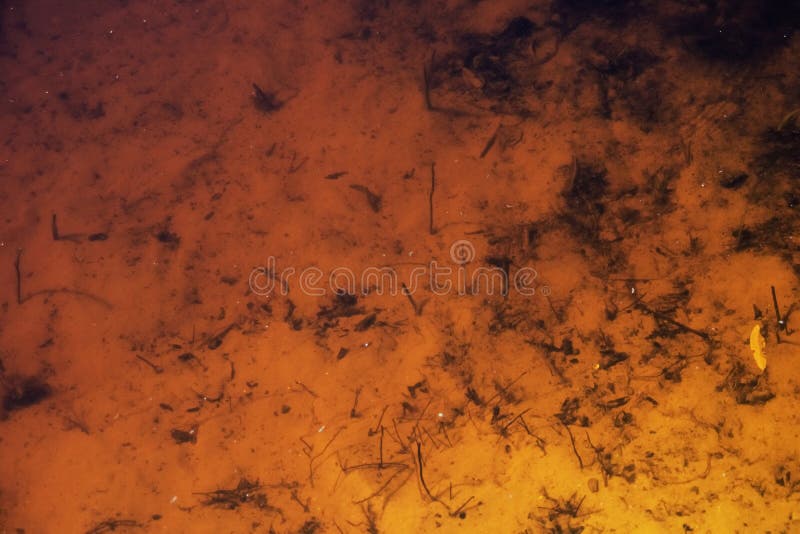 Sandy Bottom of the Pond Abstract Background Stock Image - Image of ...