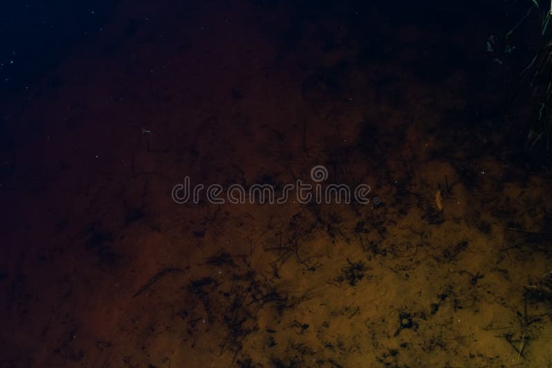 Sandy Bottom of the Pond Abstract Background Stock Image - Image of ...