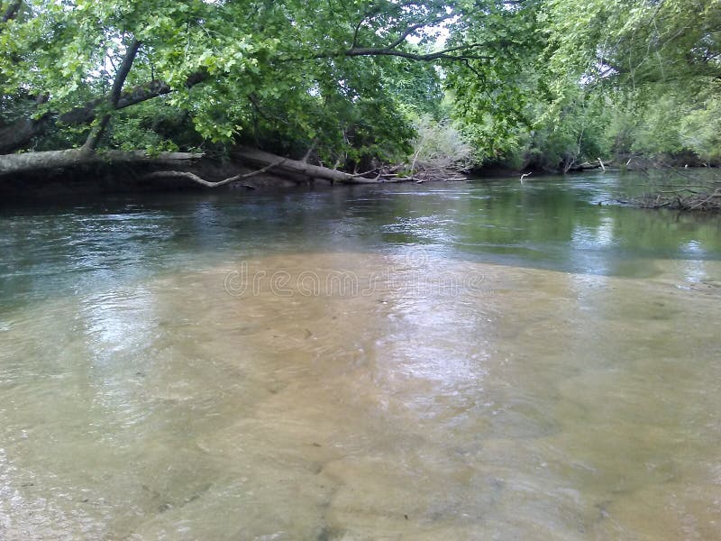 Sandy Bottom stock image. Image of clos, sandy, ocean - 4555991