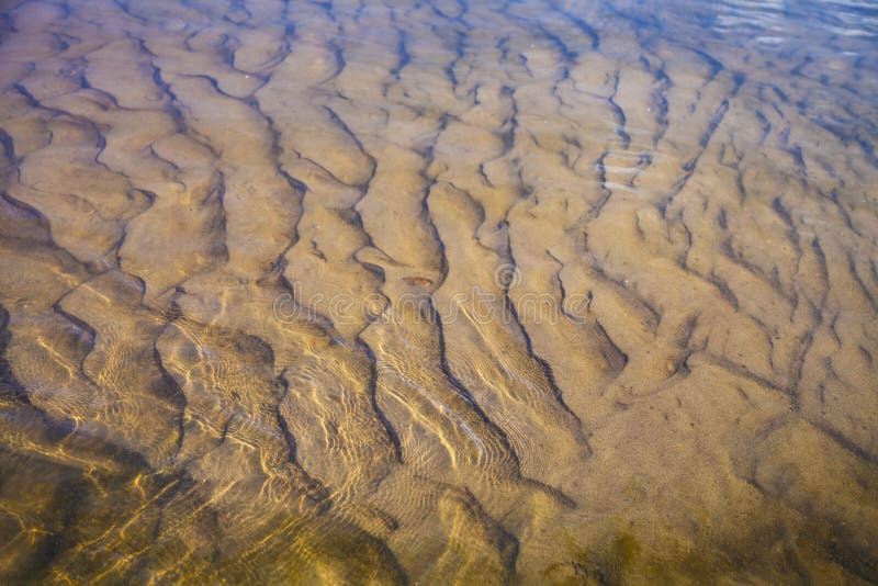 Sandy Bottom of the River with Shells Stock Photo - Image of panoramic ...
