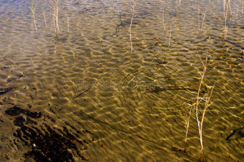 Sandy Bottom in Shallow Water. Stock Photo - Image of water, lake: 92569696