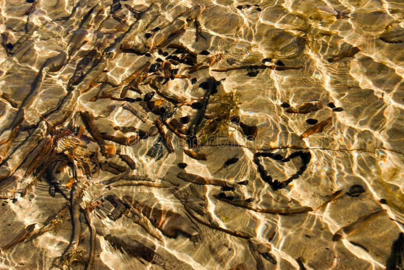 Sandy Bottom in Shallow Water. Stock Photo - Image of heart, cleanly ...