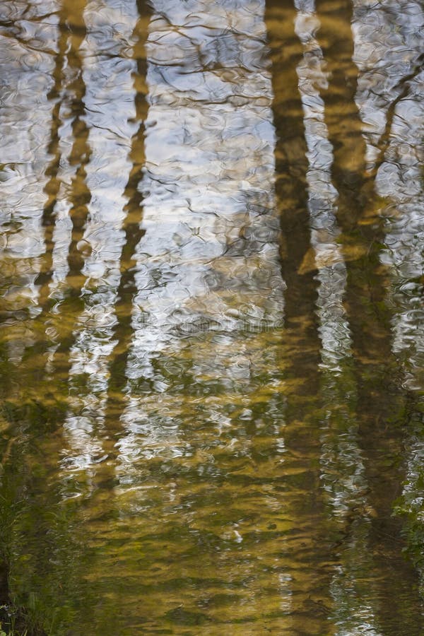 The bottom of the stream stock photo. Image of stream - 114426110