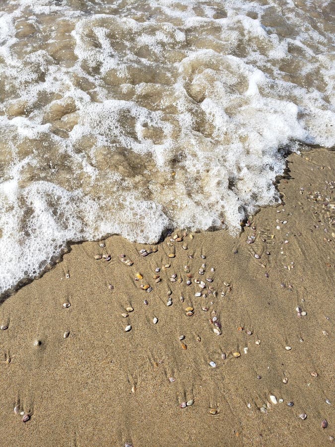 Sandy bubble beach stock photo. Image of shore, water - 240151820