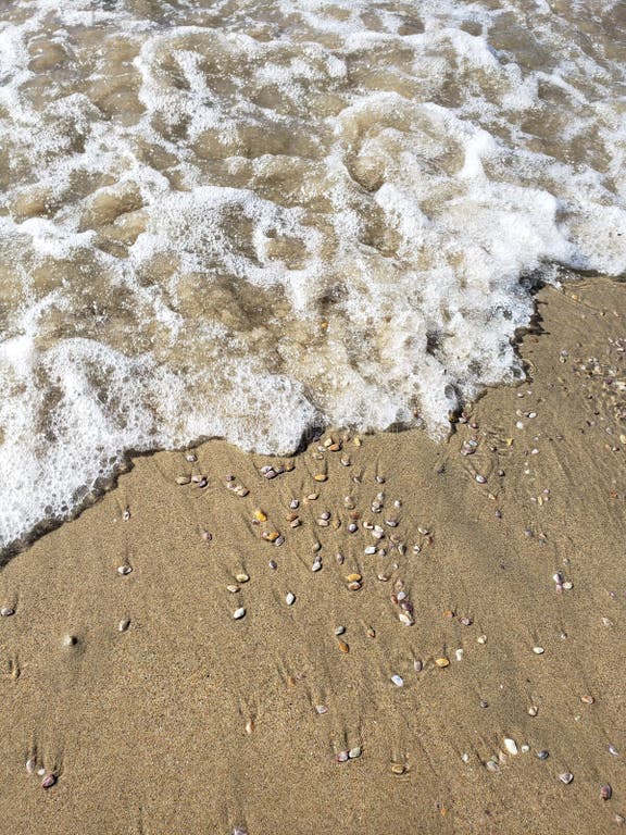 Sandy bubble beach stock photo. Image of shore, water - 240151820