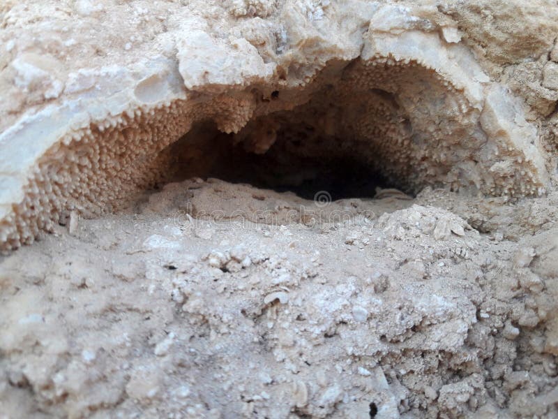 Sandy Cave with Textured Walls and Rough Geological Formations in ...