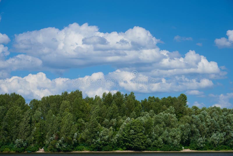 The Sandy Coast of the River Overgrown with Deciduous Forest Stock ...
