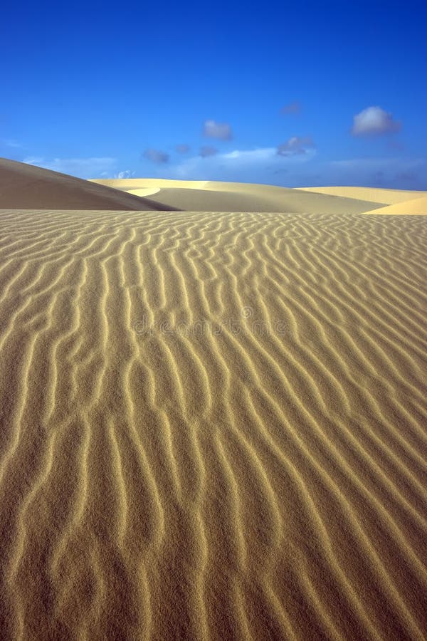 Sandy desert stock photo. Image of backgrounds, outdoors - 4694270
