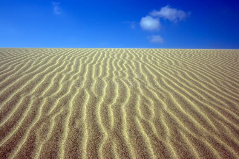 Sandy desert stock photo. Image of backgrounds, outdoors - 4694270