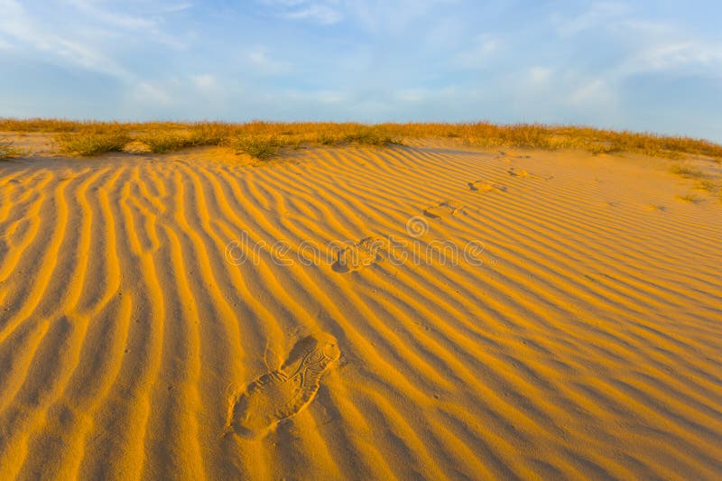 Sandy Desert with Closeup Human Track Stock Image - Image of panoramic ...