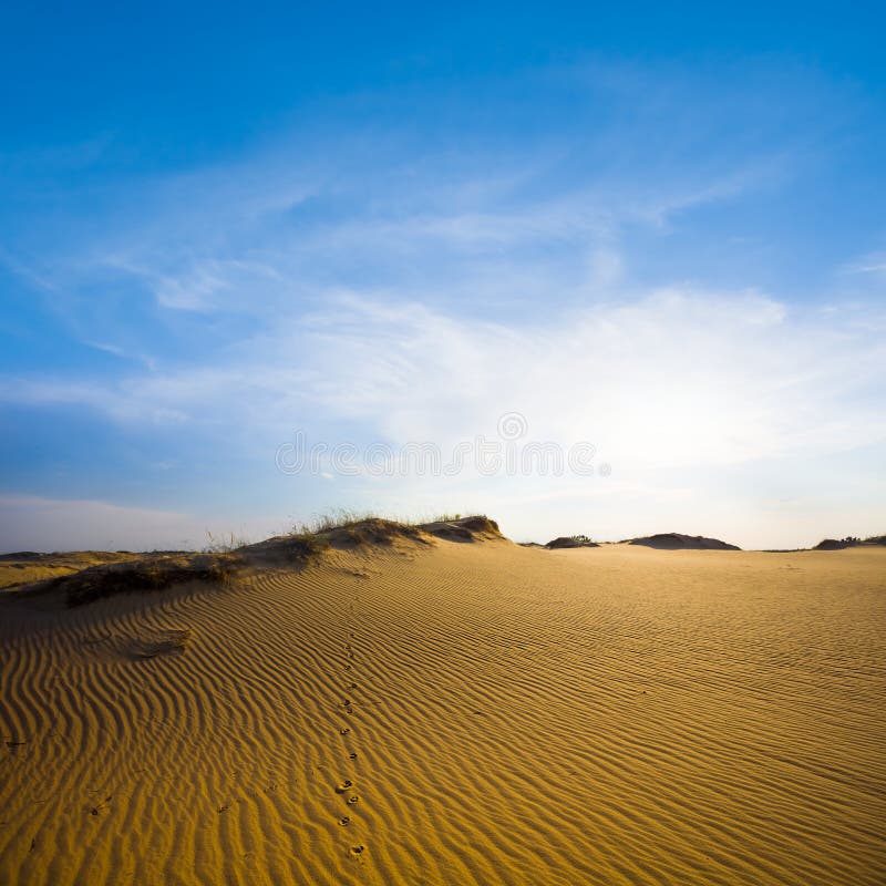 Desert Dune in Light of Sparkle Sun Stock Photo - Image of summer ...