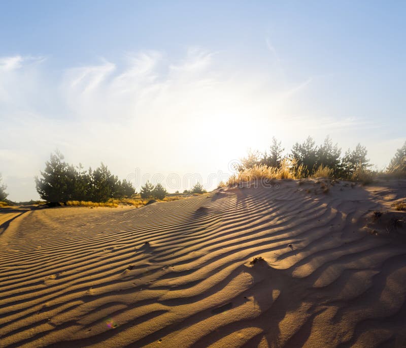 Sandy Desert Dune at the Sunset Stock Photo - Image of solar, wavy ...
