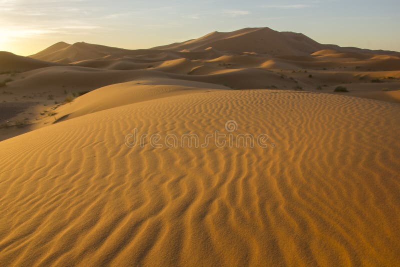 Sandy Desert of Morocco stock image. Image of sandy, merzouga - 48115921