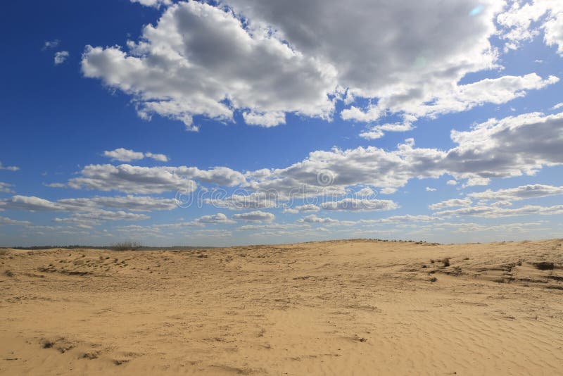 Sandy desert landscape stock image. Image of pattern - 117313389