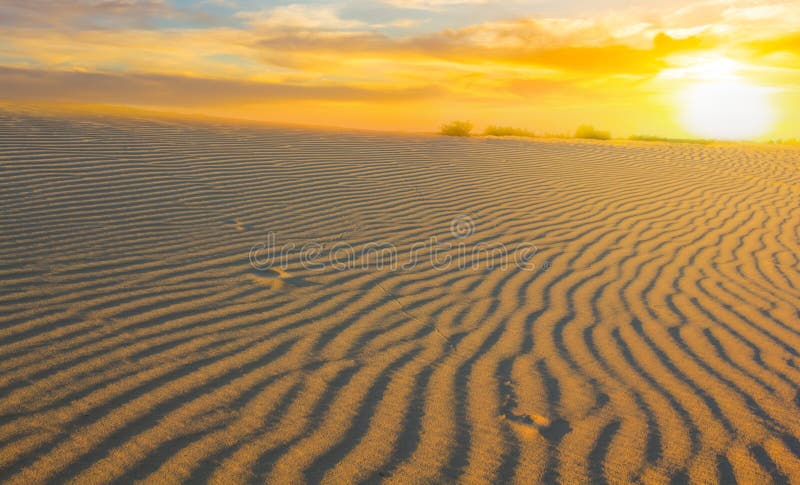 Sandy Desert Scene at the Sunset Stock Image - Image of environment ...