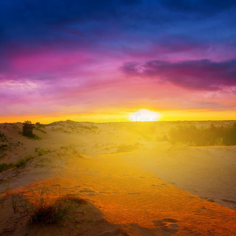 Sandy Desert at the Sunrise Stock Photo - Image of hummock, extreme ...