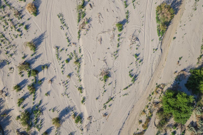 Dry desert wash stock photo. Image of preserve, species - 21618916