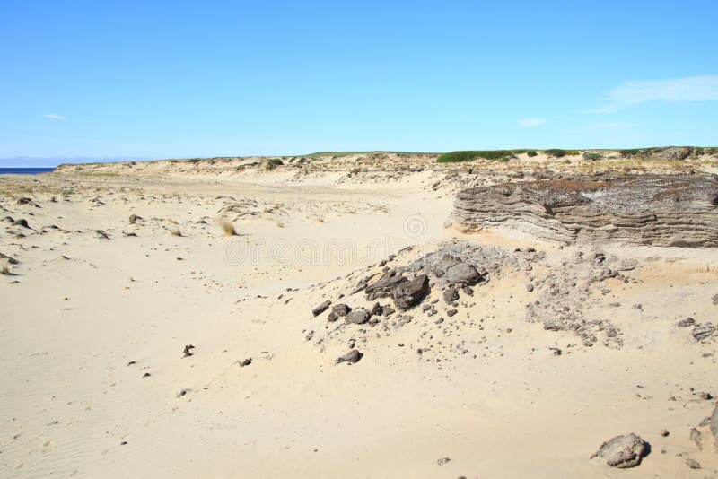 Sandy District with Barkhans and Poor Vegetation Stock Photo - Image of ...