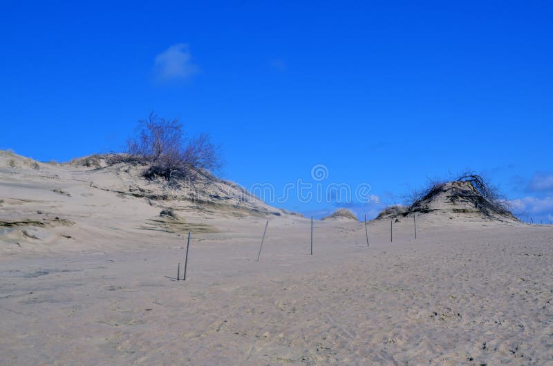 Sandy dune with two hills stock photo. Image of sand - 164841616
