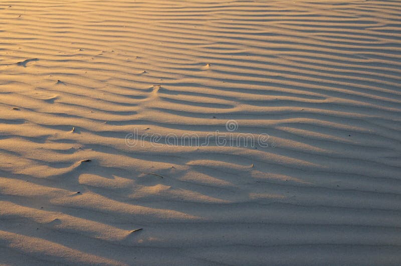 Sandy dunes stock photo. Image of beige, lighting, abstraction - 47011106