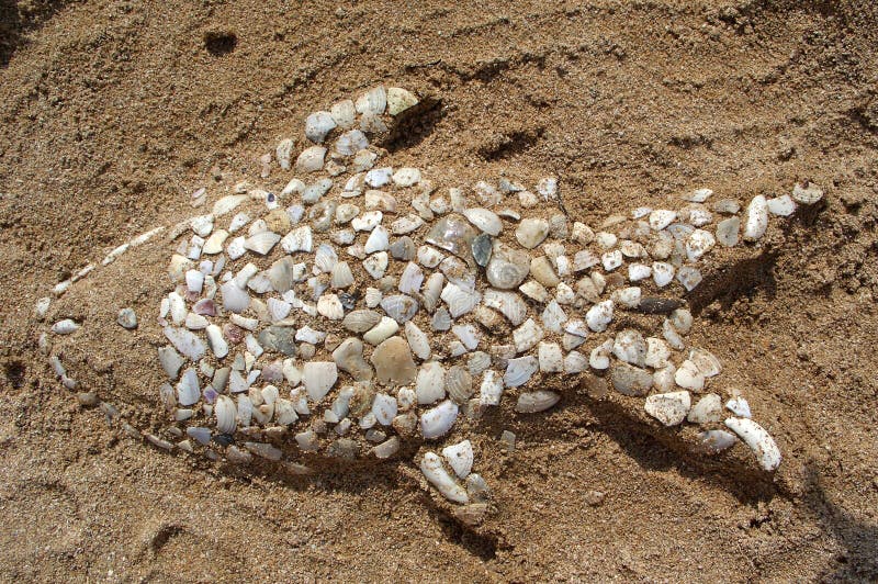 Sandy fish stock photo. Image of prominent, handy, grain - 5786470