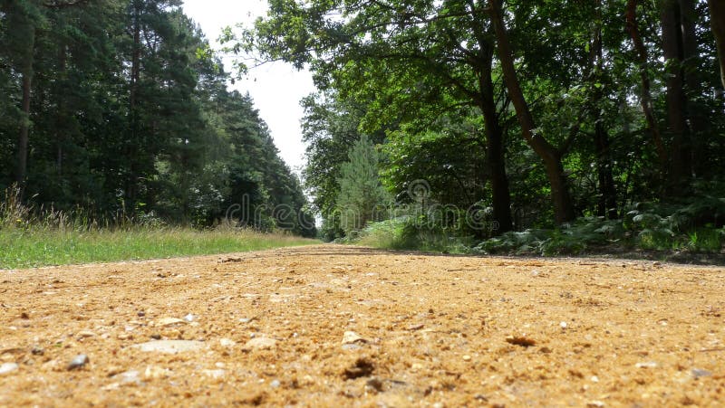 Sandy floor stock photo. Image of gravel, woods, sandy - 44790456
