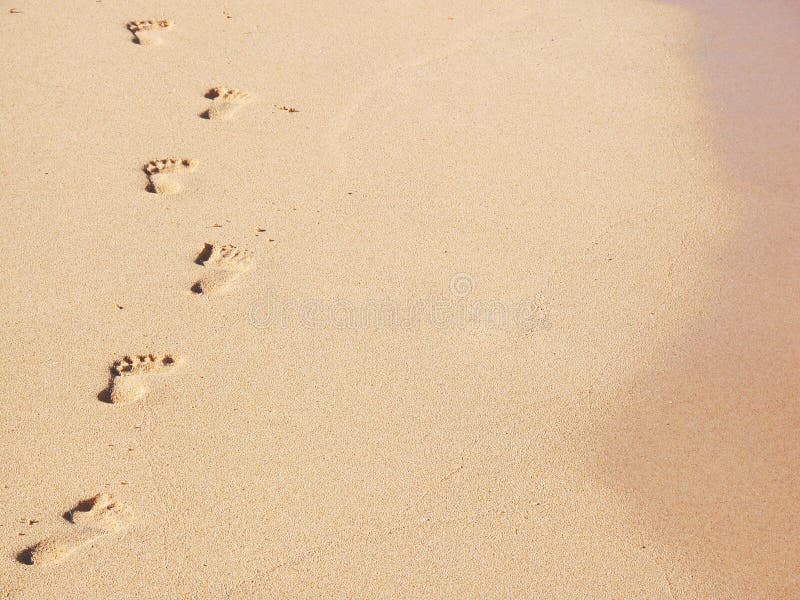 Sandy Footprints stock image. Image of summer, ocean, beach - 206779