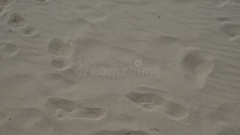 Sandy Footprints Create Intriguing Patterns on the Beach in Pescoluse ...