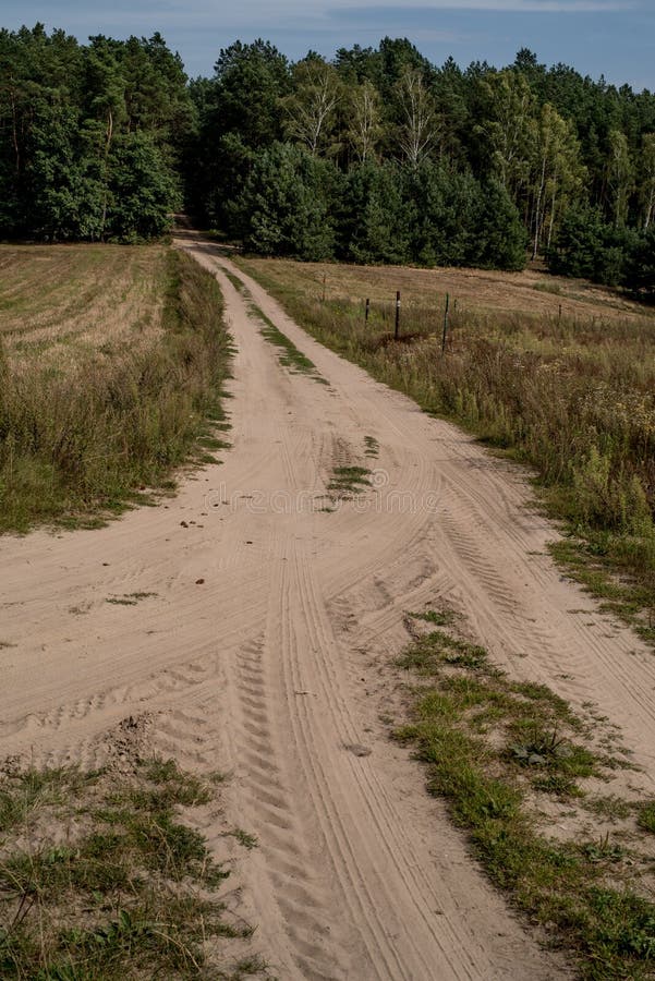 Sandy Forest Road in Europe. Stock Photo - Image of expedition, green ...
