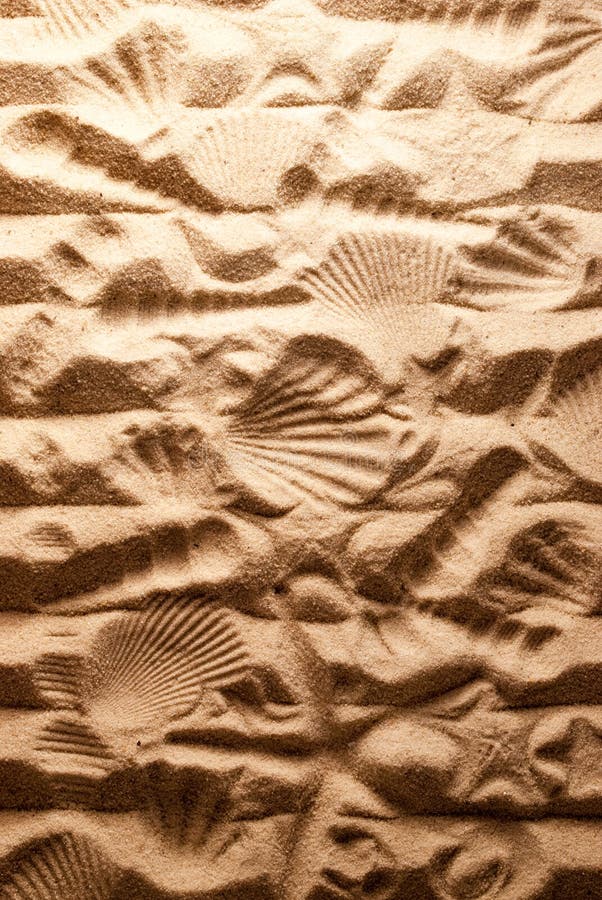 Sandy background. stock photo. Image of pattern, background - 22910248