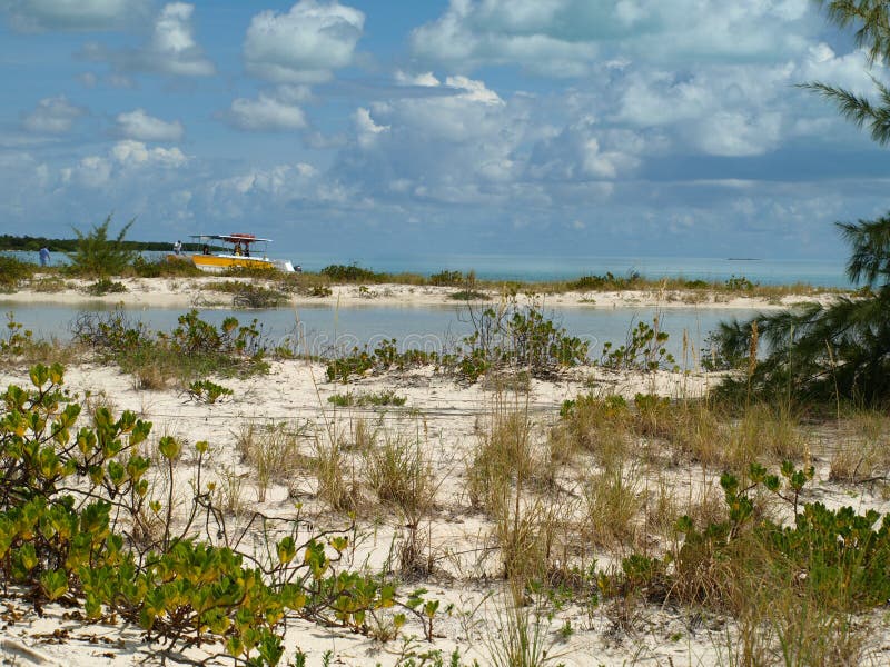 Sandy inlet by ocean stock image. Image of inlet, coming - 60353903
