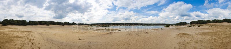 Sandy landscape stock photo. Image of trees, overcast - 15654128