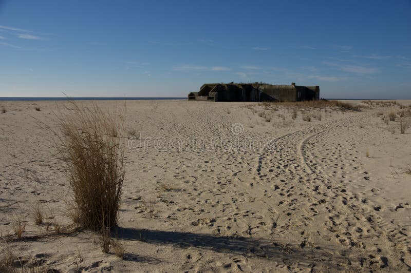 Sandy Landscape stock image. Image of seashore, tufts - 48528307