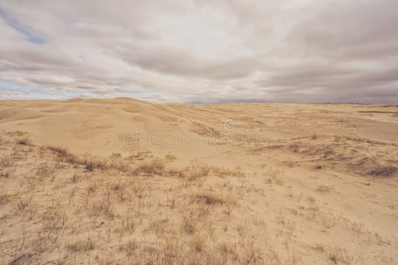 Sandy Landscape of Great Sandhills Ecological Reserve Stock Photo ...