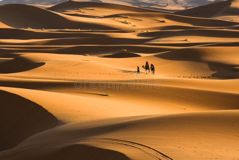 Path stock image. Image of desert, badlands, dune, plain - 289724115