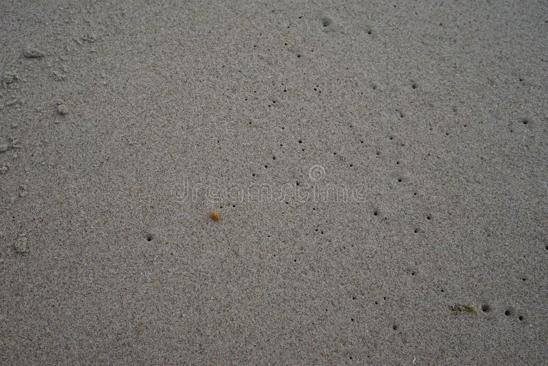 Sandy Natural Background of Gray Sand Interspersed with Amber. Stock ...
