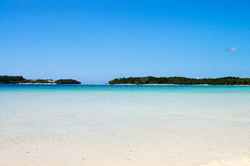 Sandy natural inlet stock photo. Image of jungle, nature - 4339218