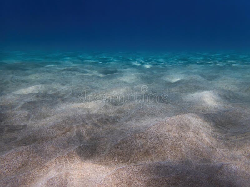 Sandy Ocean Floor Underwater with Patterns in Beige and Blue Stock ...