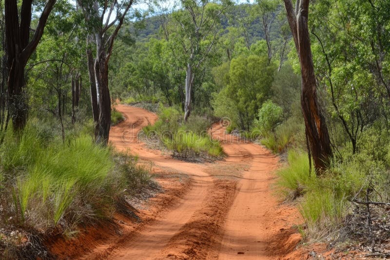 Sandy Off Road Bush Track in the Outback Forest. Stock Image - Image of ...