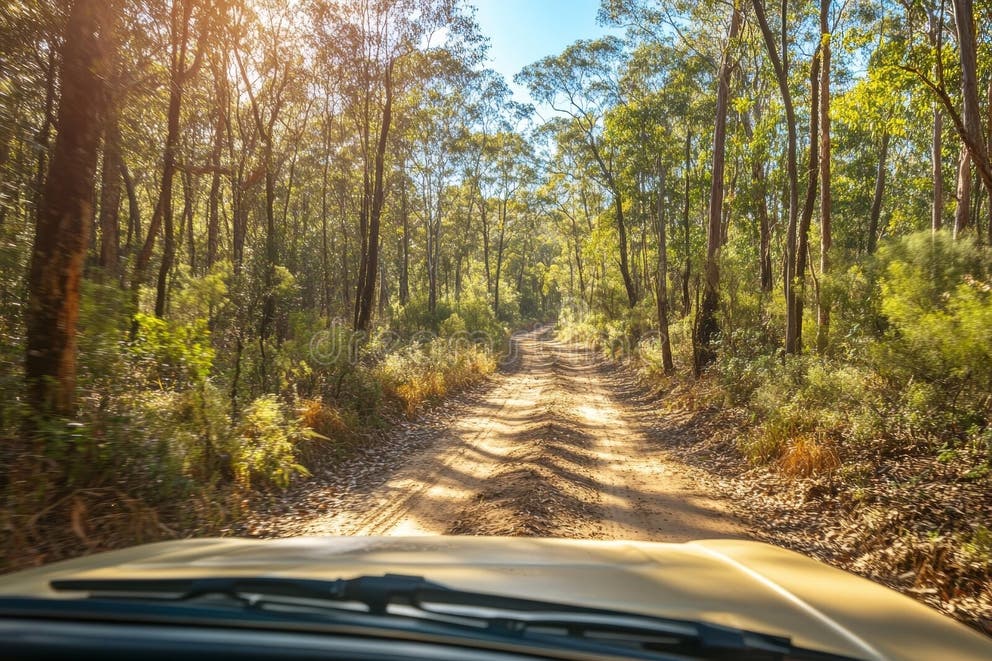 Sandy Off Road Bush Track in the Outback Forest. Stock Image - Image of ...