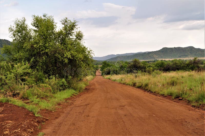 A Sandy Path into the African Bush Stock Image - Image of holiday, road ...