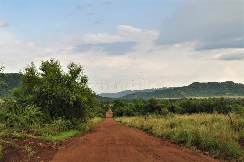 A Sandy Path into the African Bush Stock Image - Image of adventure ...