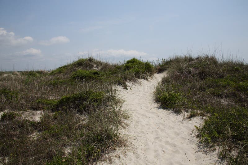 Sandy Path To Beach through Trees, Bushes and Grass Stock Photo - Image ...
