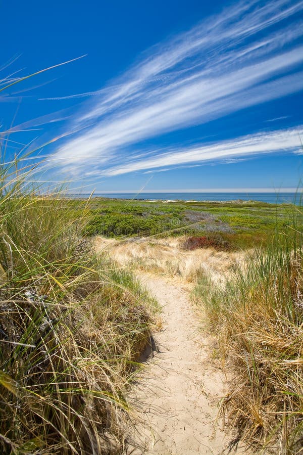 Sandy Path through the Dunes Stock Photo - Image of remote, beauty: 4677104
