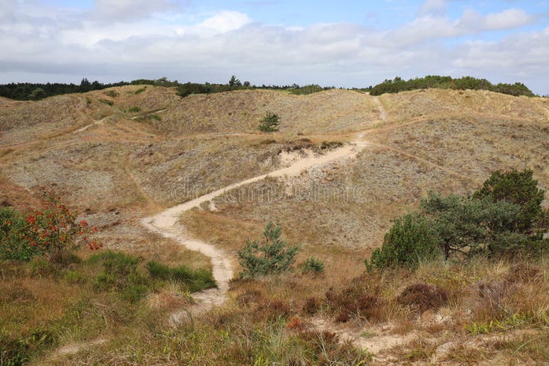 Sandy Path Going Up the Sand Dunes Stock Image - Image of environment ...