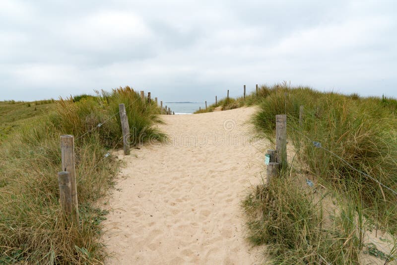 Sandy Path Leads To an Wild Beach Stock Photo - Image of fence, sand ...