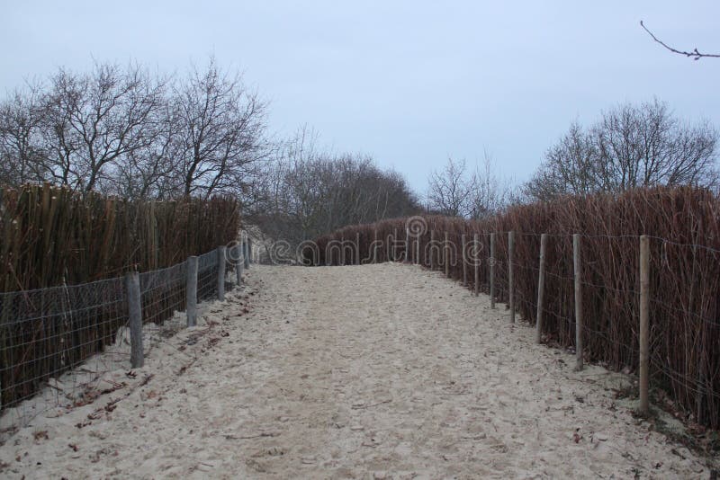 Sandy Path in the Park in Zeeland Stock Photo - Image of netherlands ...