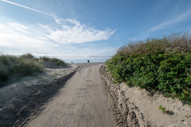 Sandy Path with Surrounding Greenery Under the Clear Sky Stock Photo ...