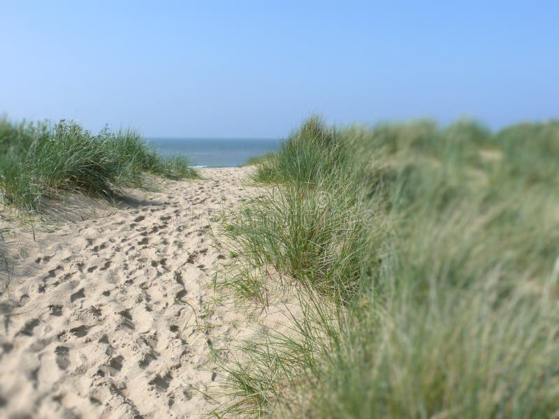 Sandy path to beach stock image. Image of footprints - 13477159