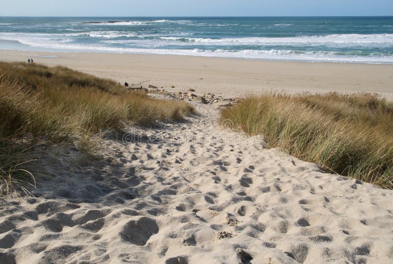 Sandy path to the beach. stock image. Image of color, reeds - 2167015